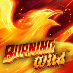 Login | NorthStar Bets